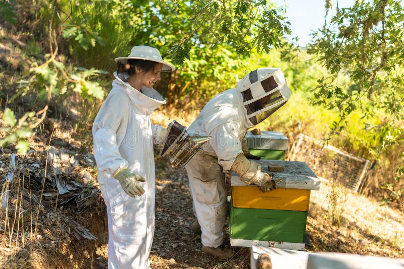 Beekeeper Setting Up Hive with the Help of an Assistant Stock Photo ...