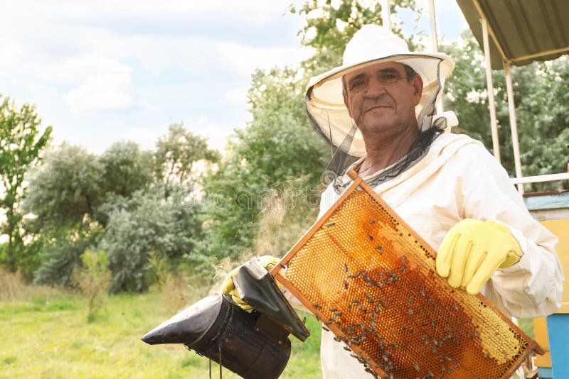 Beekeeper with Smokepot and Honey Frame at Apiary Stock Image - Image ...