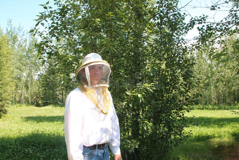 Beekeeper Standing by Clover Field Stock Image - Image of working ...