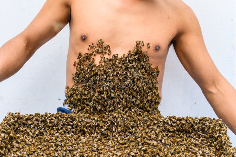 Beekeeper Covered with Bees Showing Bare Chest Stock Image - Image of ...