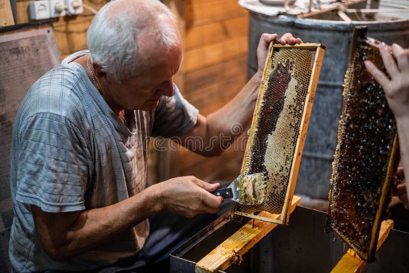 Beekeeper Uncapping Honey Cells on the Frames with a Uncapping Comb ...