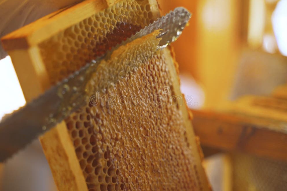 The Beekeeper Using a Knife Prints Honeycombs with Nesting Frames. Stock Image - Image of hive ...