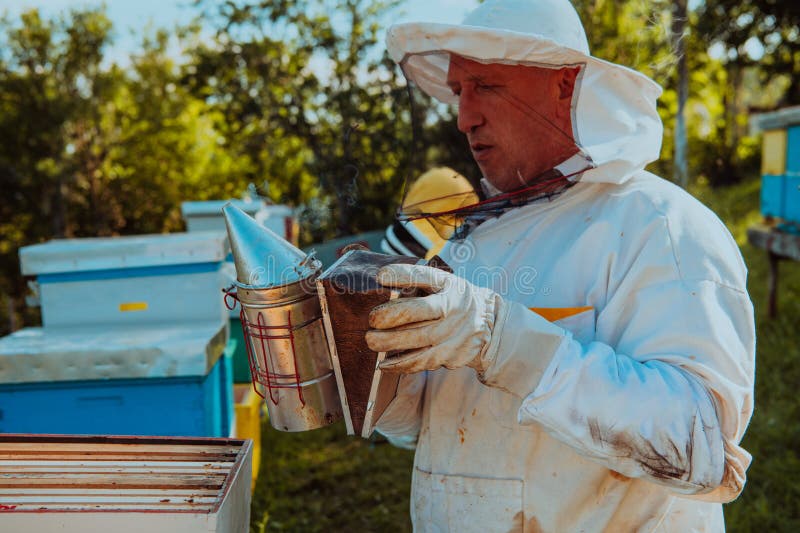 The Beekeeper Using Smoke To Calm the Bees and Begins To Inspect the ...