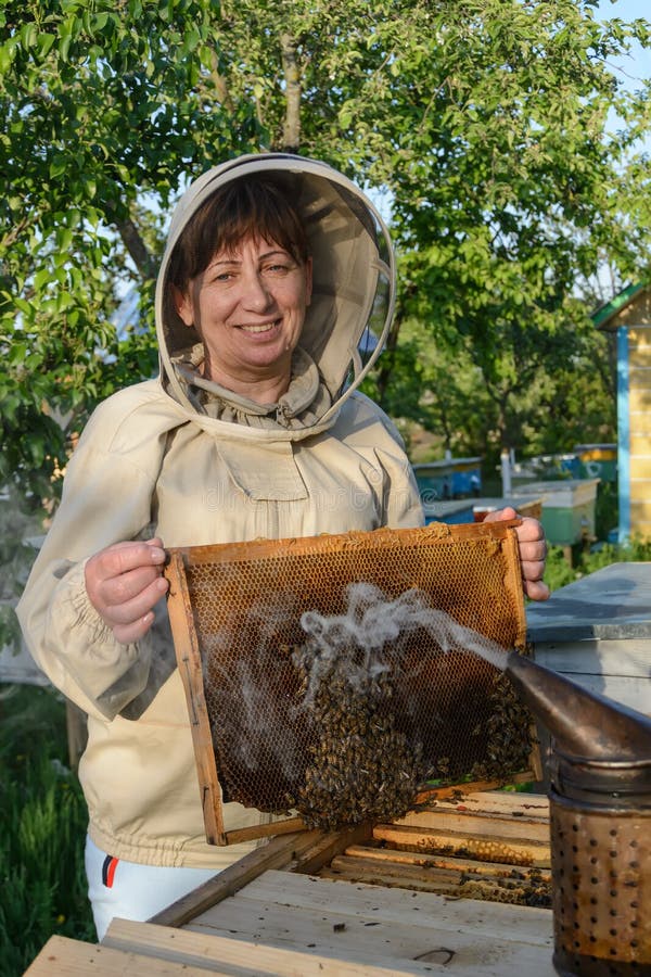 Beekeeper Woman Controlling Beehive and Comb Frame. Apiculture. Stock ...