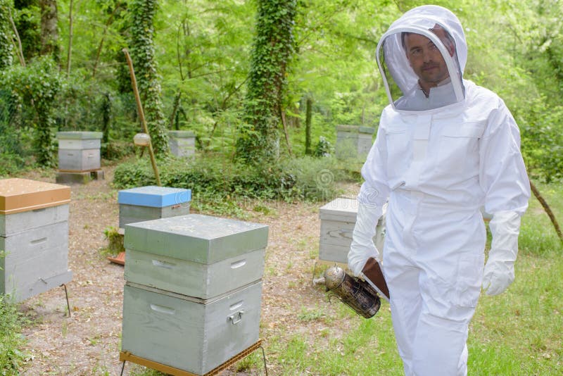 Beekeeper at work stock image. Image of colony, pollinator - 237592221