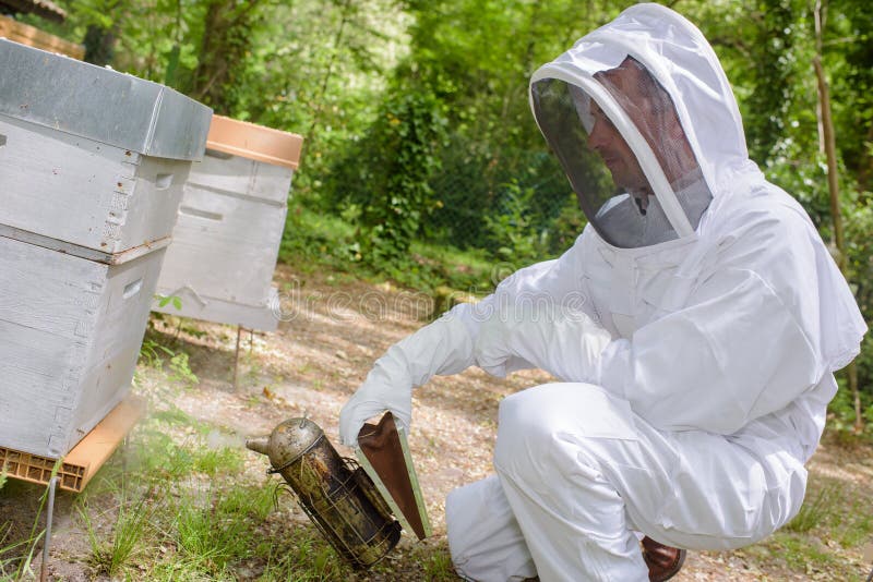 Beekeeper at work stock image. Image of vocation, natural - 263005469