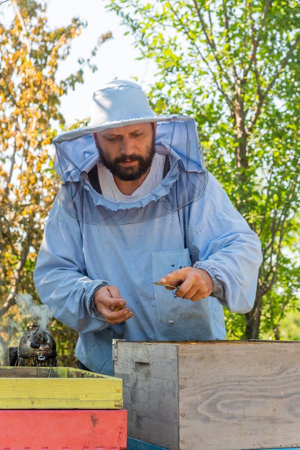 Beekeeper at Work. the Beekeeper Saves the Bees. Stock Photo - Image of ...