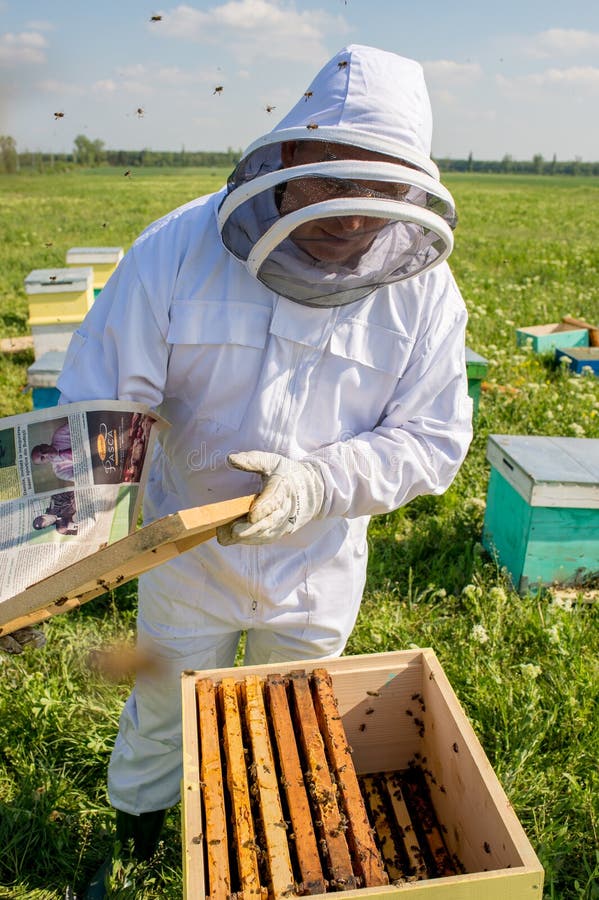 Beekeeper Man In Protection Mask And Other Work Equipment Fumigating ...