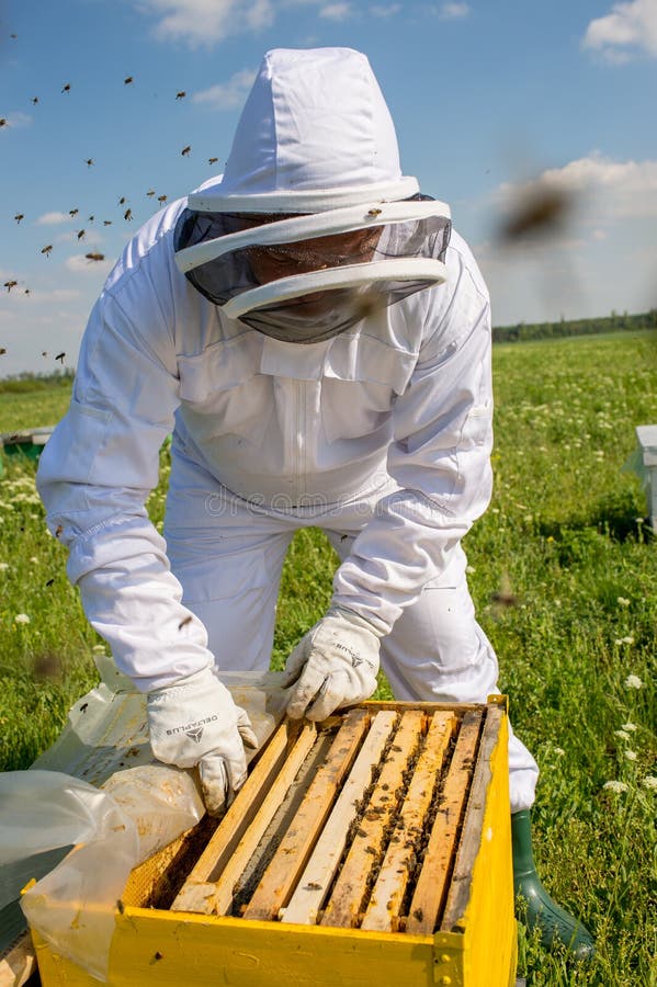 Beekeeper at Work during Spring Time Protected by Costume Editorial ...