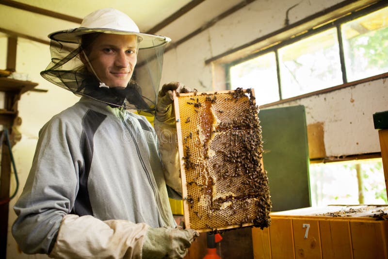 Beekeeper Working in an Apiary Stock Image - Image of beekeeper, hobby ...