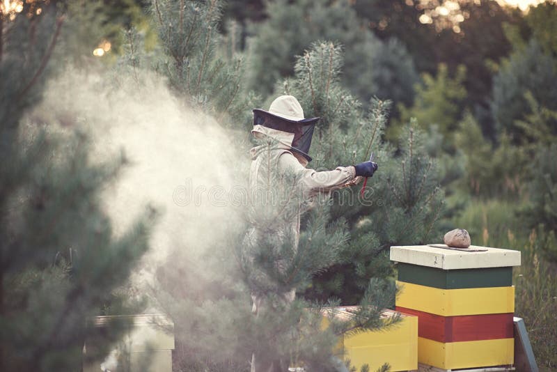 Beekeeper is Working with Bees and Beehives on the Apiary. Editorial ...