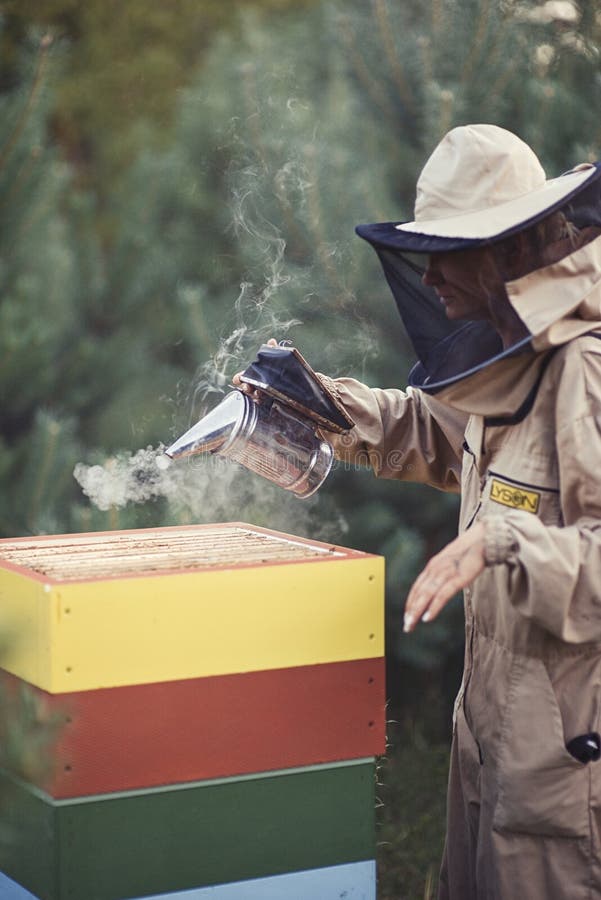 Beekeeper is Working with Bees and Beehives on the Apiary. Editorial ...