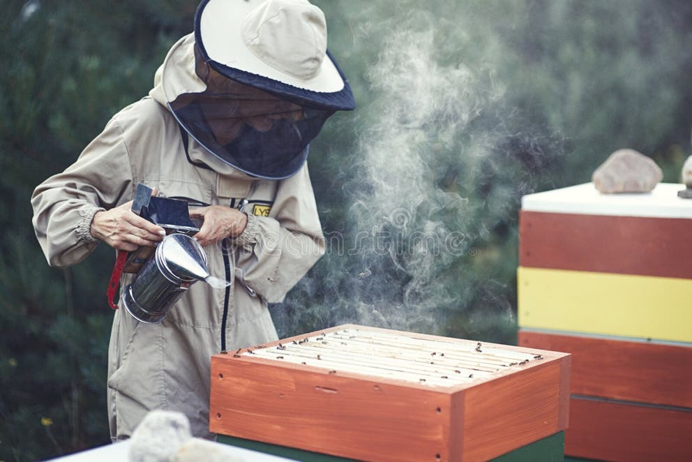 Beekeeper is Working with Bees and Beehives on the Apiary Editorial Stock Photo - Image of ...