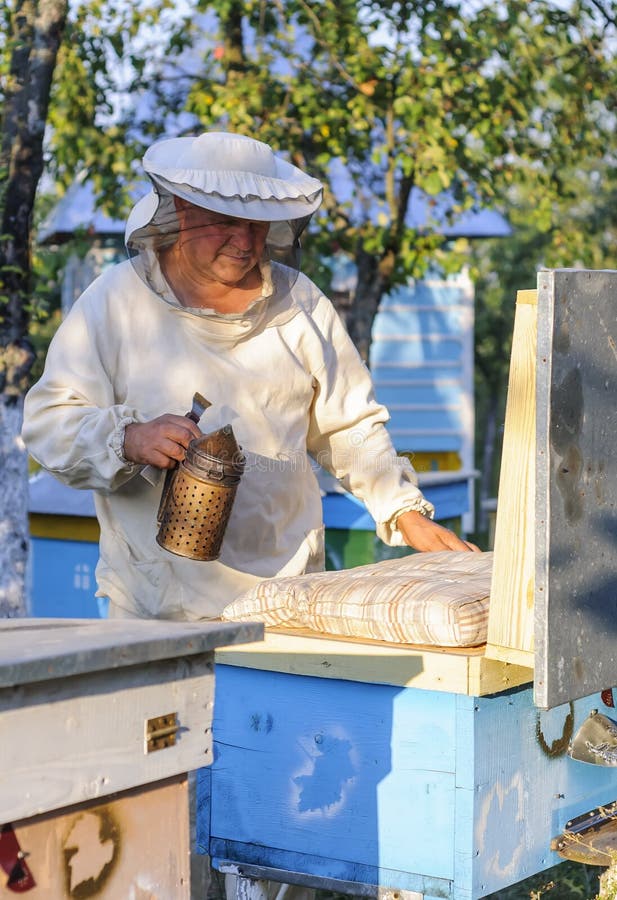 Beekeeper is Working with Bees and Beehives on the Apiary. Stock Image ...