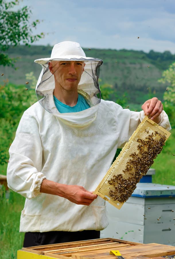 Beekeeper Working Collect Honey. Beekeeper Holding a Honeycomb Full of ...