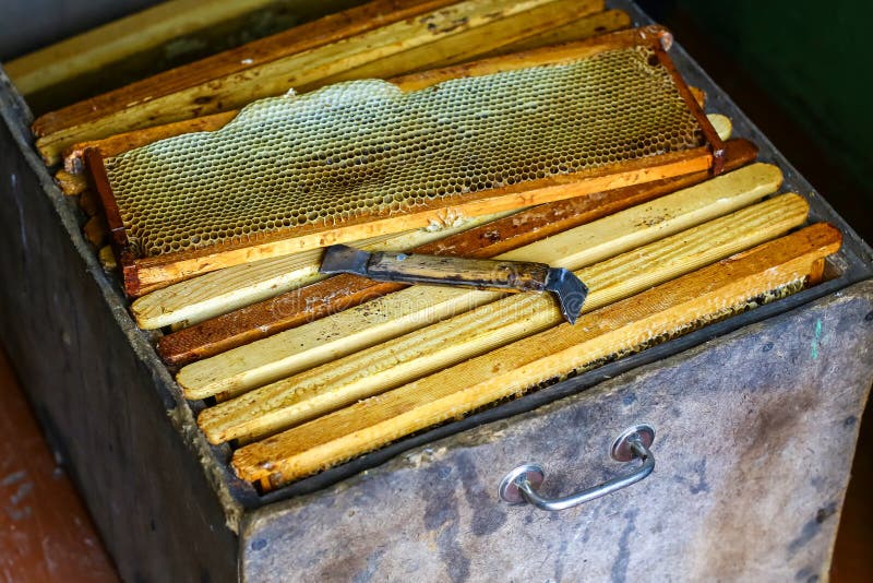 285 Vintage Beekeeping Equipment Stock Photos - Free & Royalty-Free ...