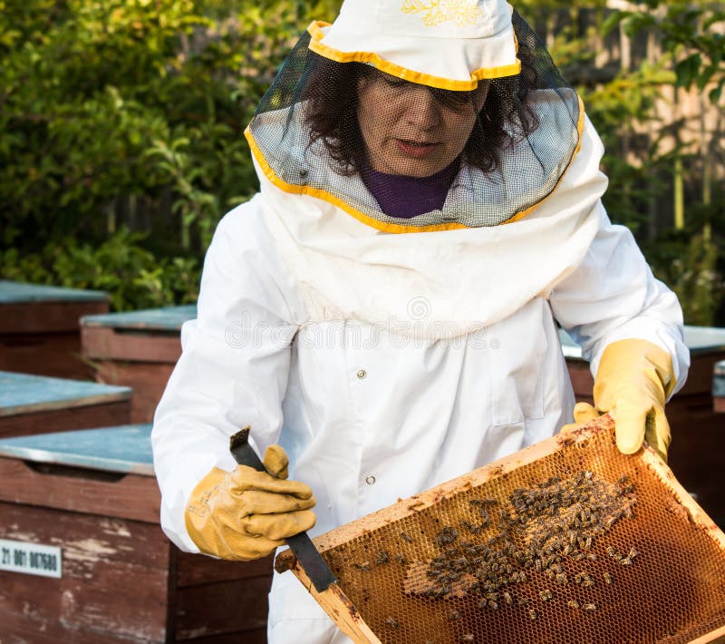 Beekeeper Woman Showing Wax Beehive and Old Press Stock Image - Image ...