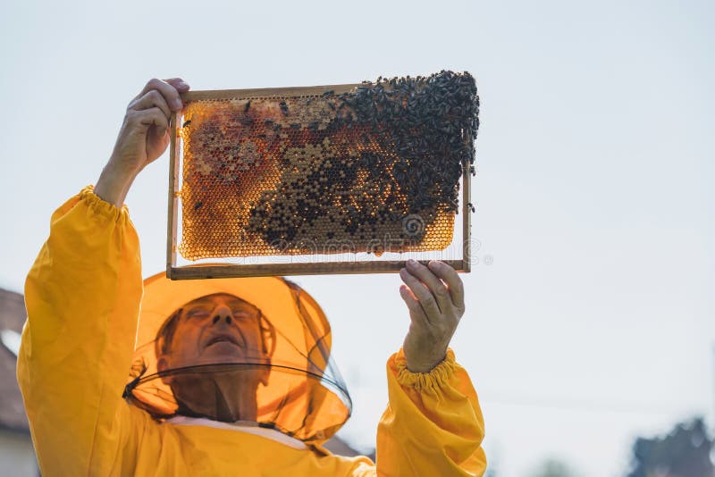 Beekeeper in Protective Gear Holding Hive Frame with Honeycomb Stock ... Beekeeper in Protective Gear Holding Hive Frame with Honeycomb Stock ...