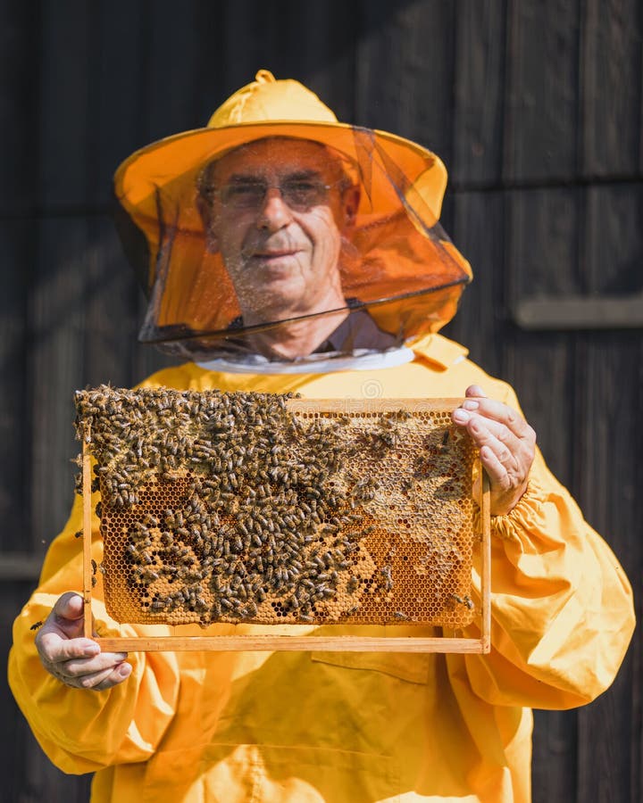 Beekeeper in Protective Gear Holding Hive Frame with Honeycomb Stock ... Beekeeper in Protective Gear Holding Hive Frame with Honeycomb Stock ...