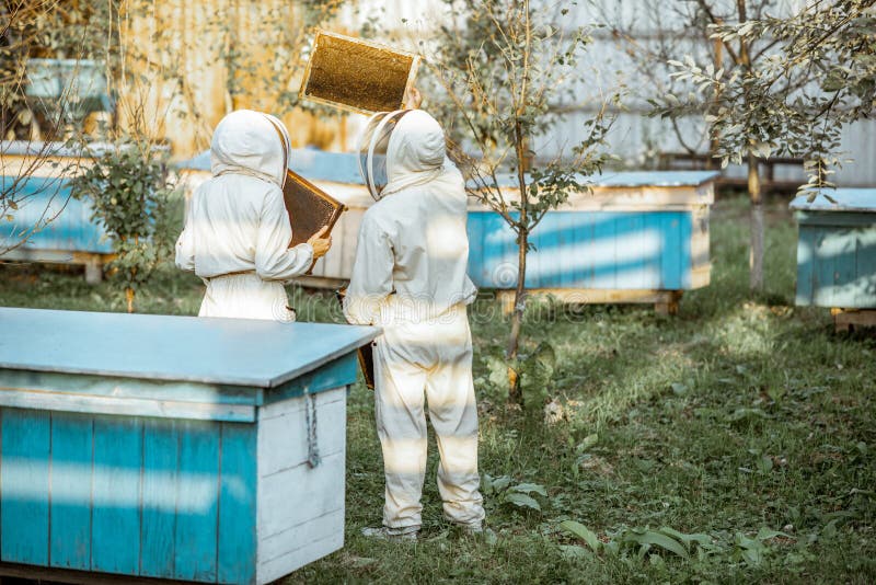 Beekeepers on the apiary stock image. Image of summer - 163567679