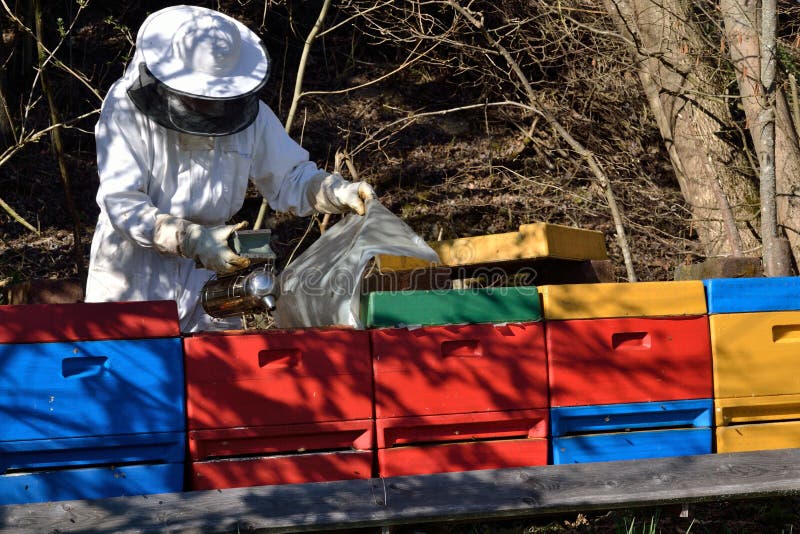 Beekeepers with Smoker stock photo. Image of beemaster - 67685004