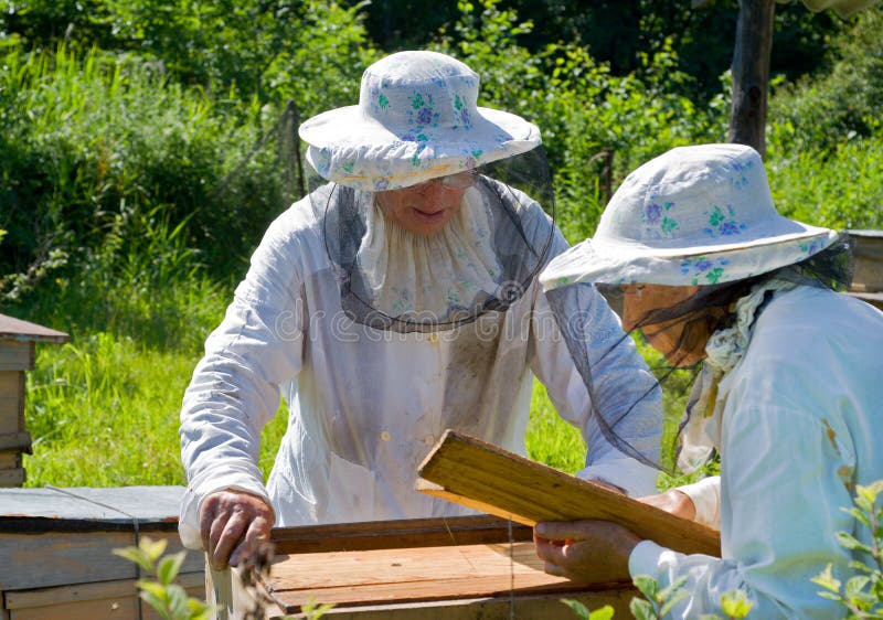 Beekeepers 4 stock photo. Image of apis, meadow, beekeepers - 132135820