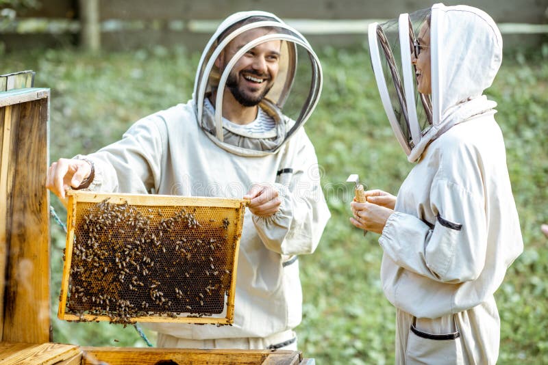 Beekeepers Working on the Apiary Stock Photo - Image of beeswax ...