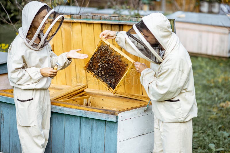 Beekeepers Working on the Apiary Stock Photo - Image of protection ...