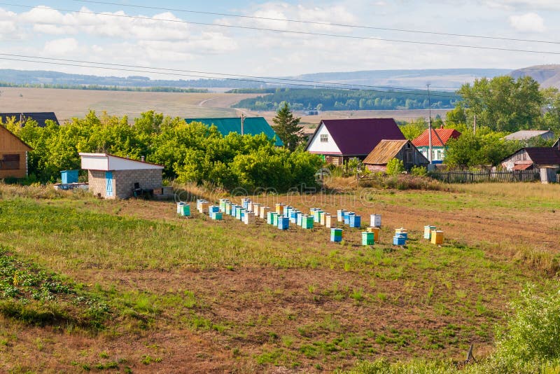 Village Apiary, Honey Production. Stock Image - Image of devevensia ...