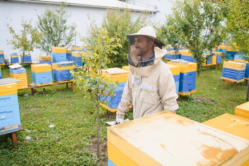 Beekeeping, Beekeeper at Work, Bees in Flight. Stock Image - Image of ...