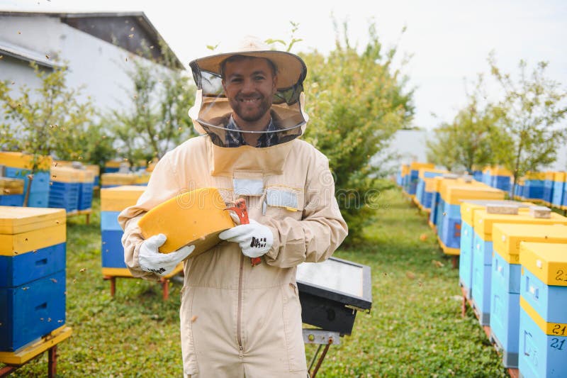Beekeeping, Beekeeper at Work, Bees in Flight. Stock Image - Image of ...