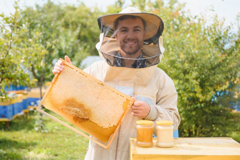 Beekeeping, Beekeeper at Work, Bees in Flight. Stock Image - Image of ...