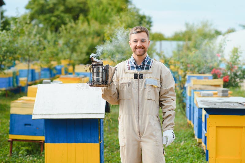 Beekeeping, Beekeeper at Work, Bees in Flight. Stock Photo - Image of ...