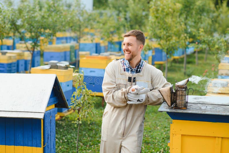 Beekeeping, Beekeeper at Work, Bees in Flight. Stock Photo - Image of ...