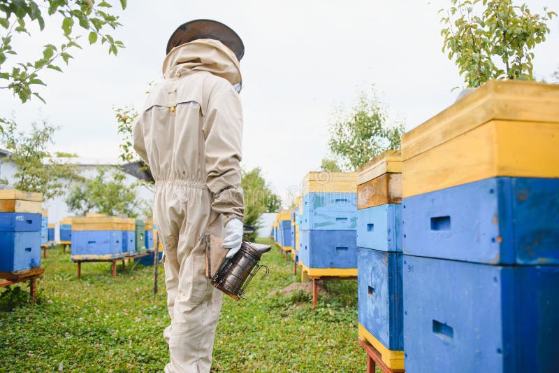 Beekeeping, Beekeeper at Work, Bees in Flight. Stock Image - Image of ...