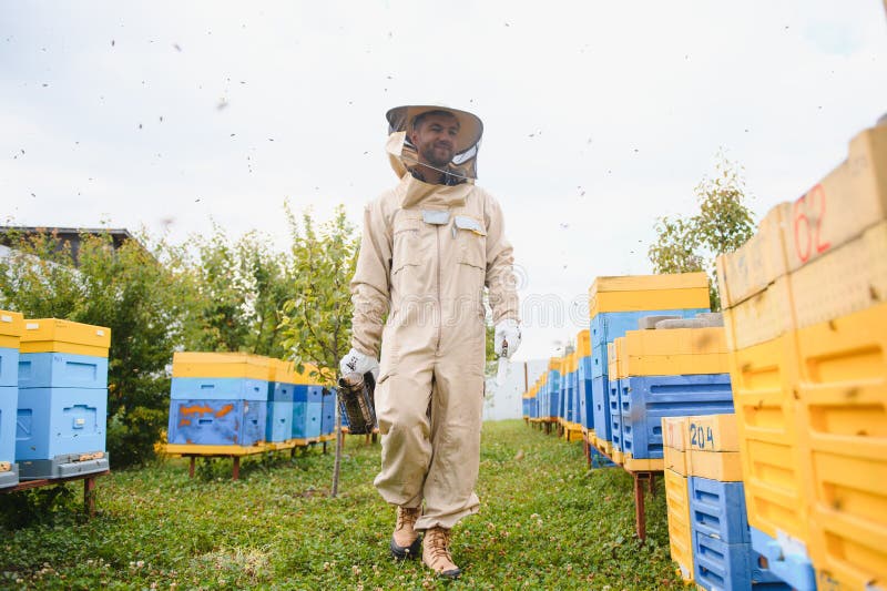 Beekeeping, Beekeeper at Work, Bees in Flight. Stock Image - Image of ...