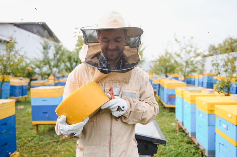 Beekeeping, Beekeeper at Work, Bees in Flight. Stock Image - Image of ...