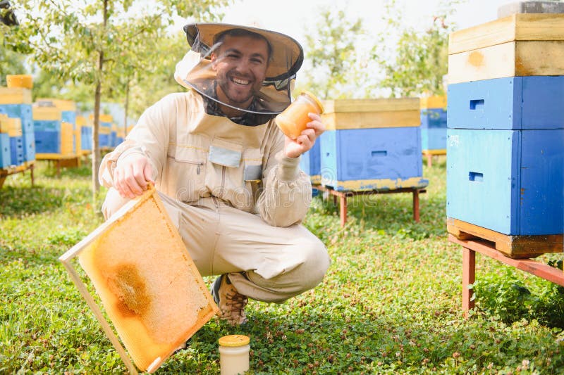 Beekeeping, Beekeeper at Work, Bees in Flight. Stock Photo - Image of ...