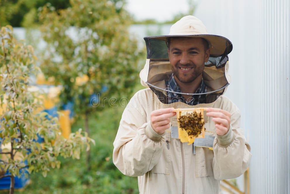 Beekeeping, Beekeeper at Work, Bees in Flight. Stock Photo - Image of ...