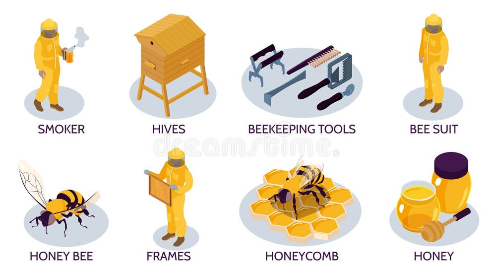 Isometric Bee Hives Stock Illustrations – 29 Isometric Bee Hives Stock ...