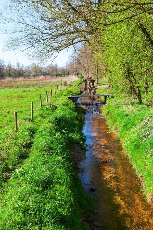 Een Beek In De Provincie Drenthe Van Nederland Stock Foto - Afbeelding ...