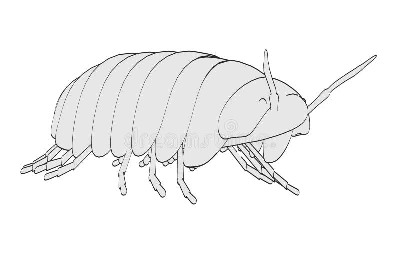 Beeld van pissebed stock illustratie. Illustratie bestaande uit dier ...