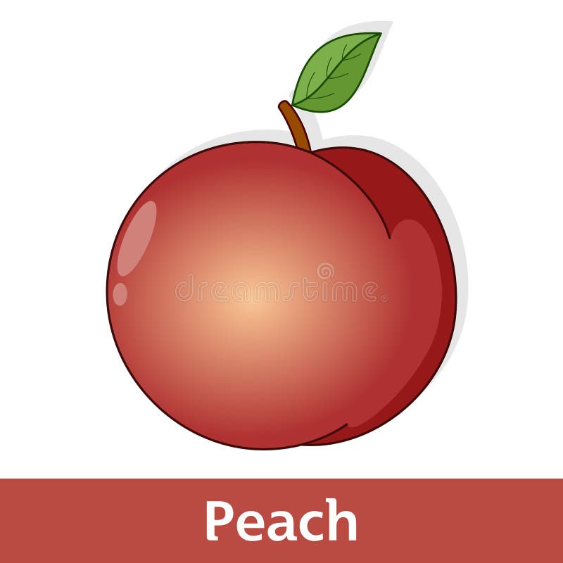 Beeldverhaalfruit - Perzik Met Groen Blad Vector Illustratie ...