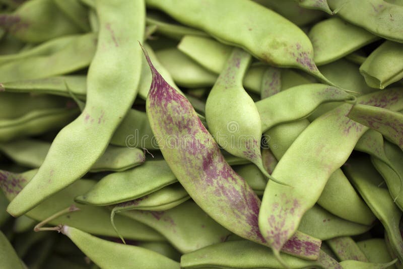 Beens stock photo. Image of nutrition, background, vegetables - 43130904