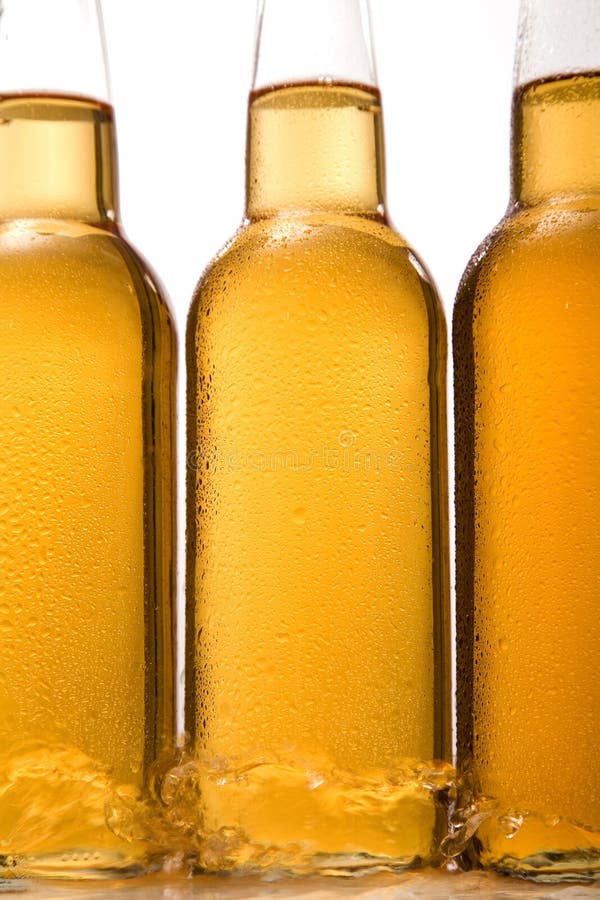 Beer stock photo. Image of bright, alcohol, bottle, liquid - 11028364