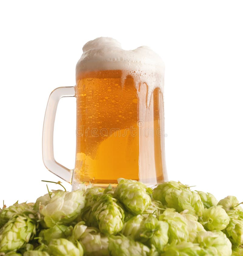 Beer bubbles stock image. Image of beer, freshness, brewed - 19405889