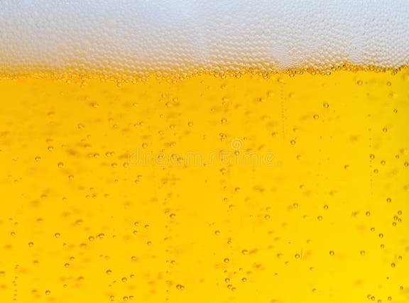 Beer stock photo. Image of full, brewed, refresh, bright - 25516656