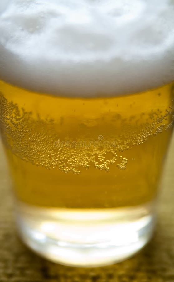 Freshly tapped beer. stock photo. Image of facial, bartender - 35922464