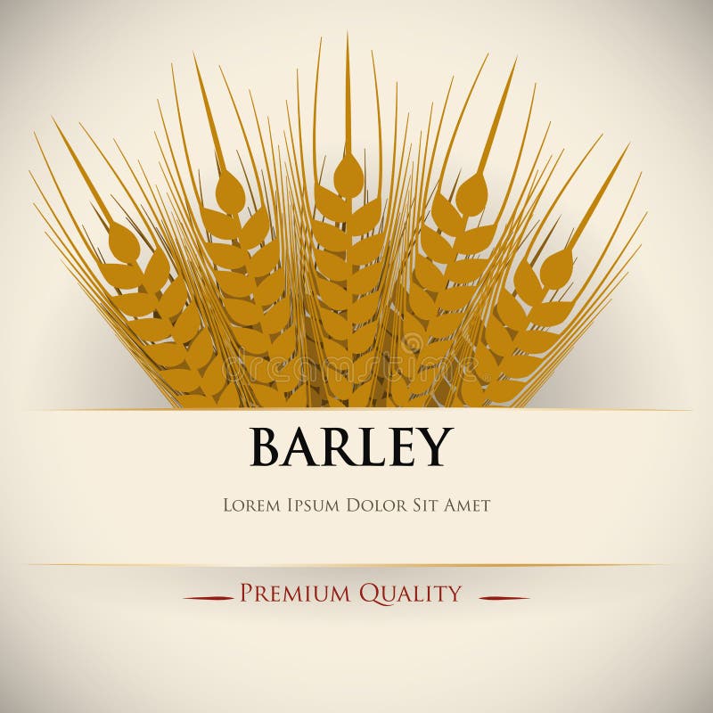Beer and barley design. stock illustration. Illustration of barrel ...