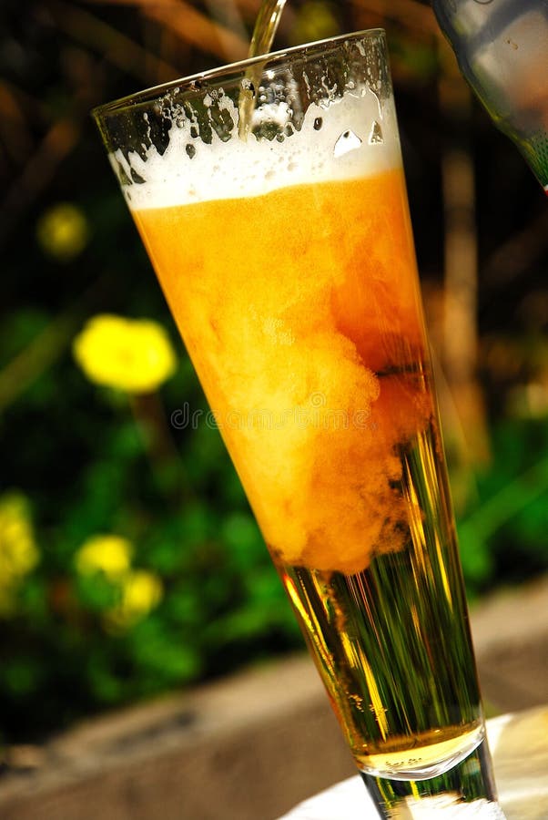 Beer Composite stock photo. Image of alcohol, refreshing - 19809222